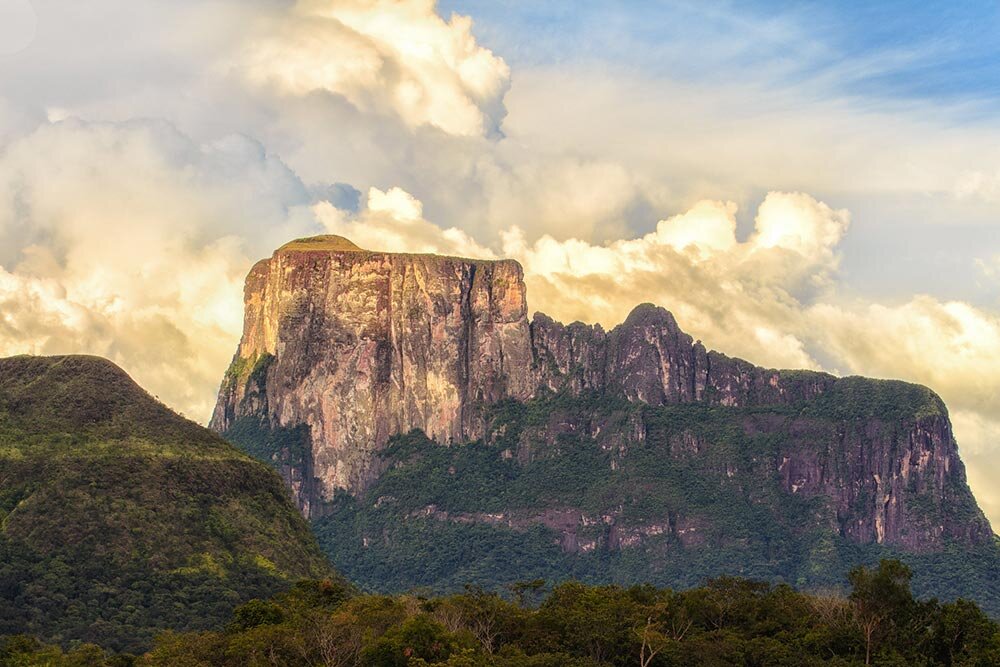Venezuela: Una apuesta verde para salvar el planeta